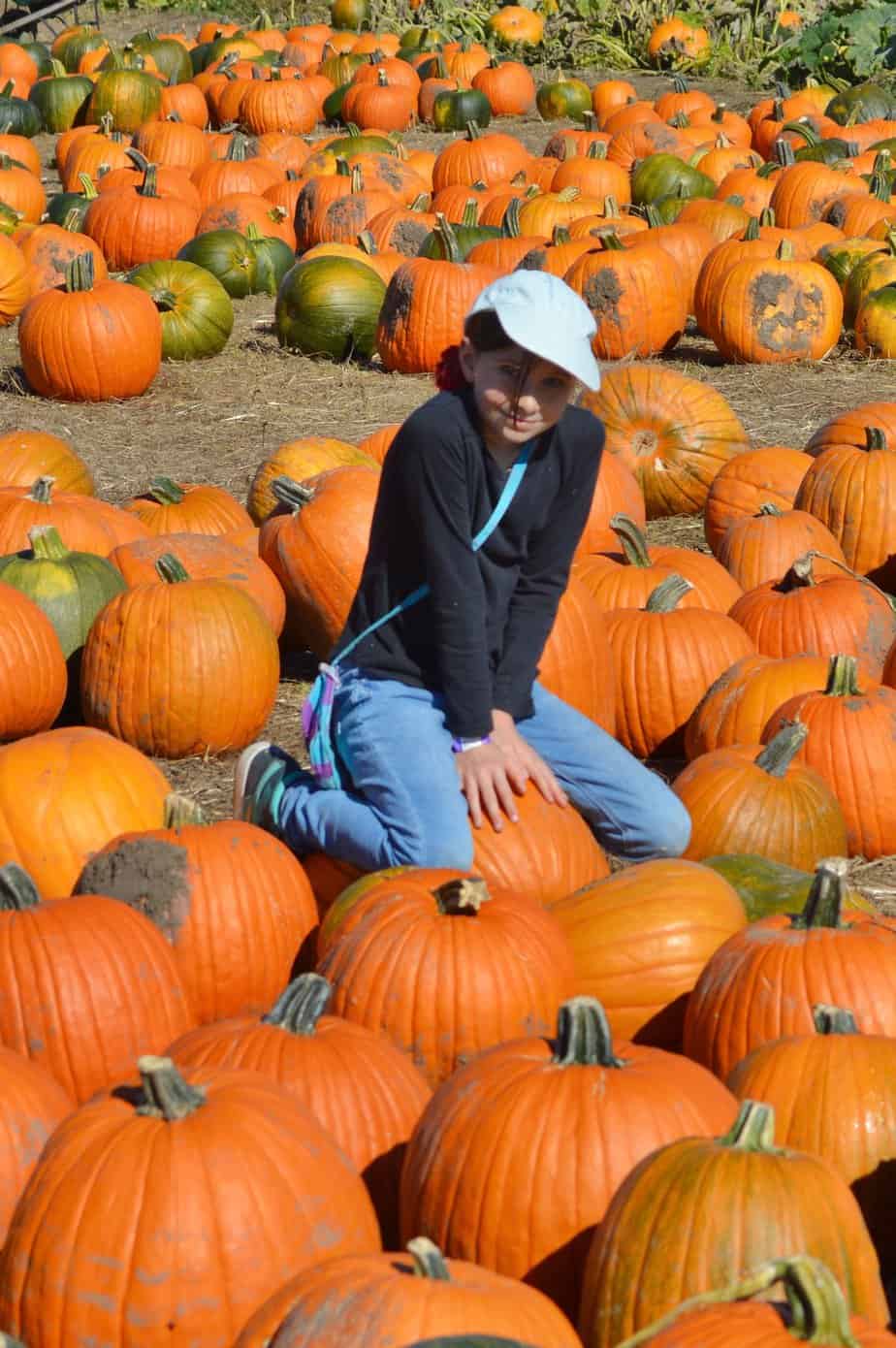 13+ Best Pumpkin Patches in Salem Oregon - Dinkum Tribe