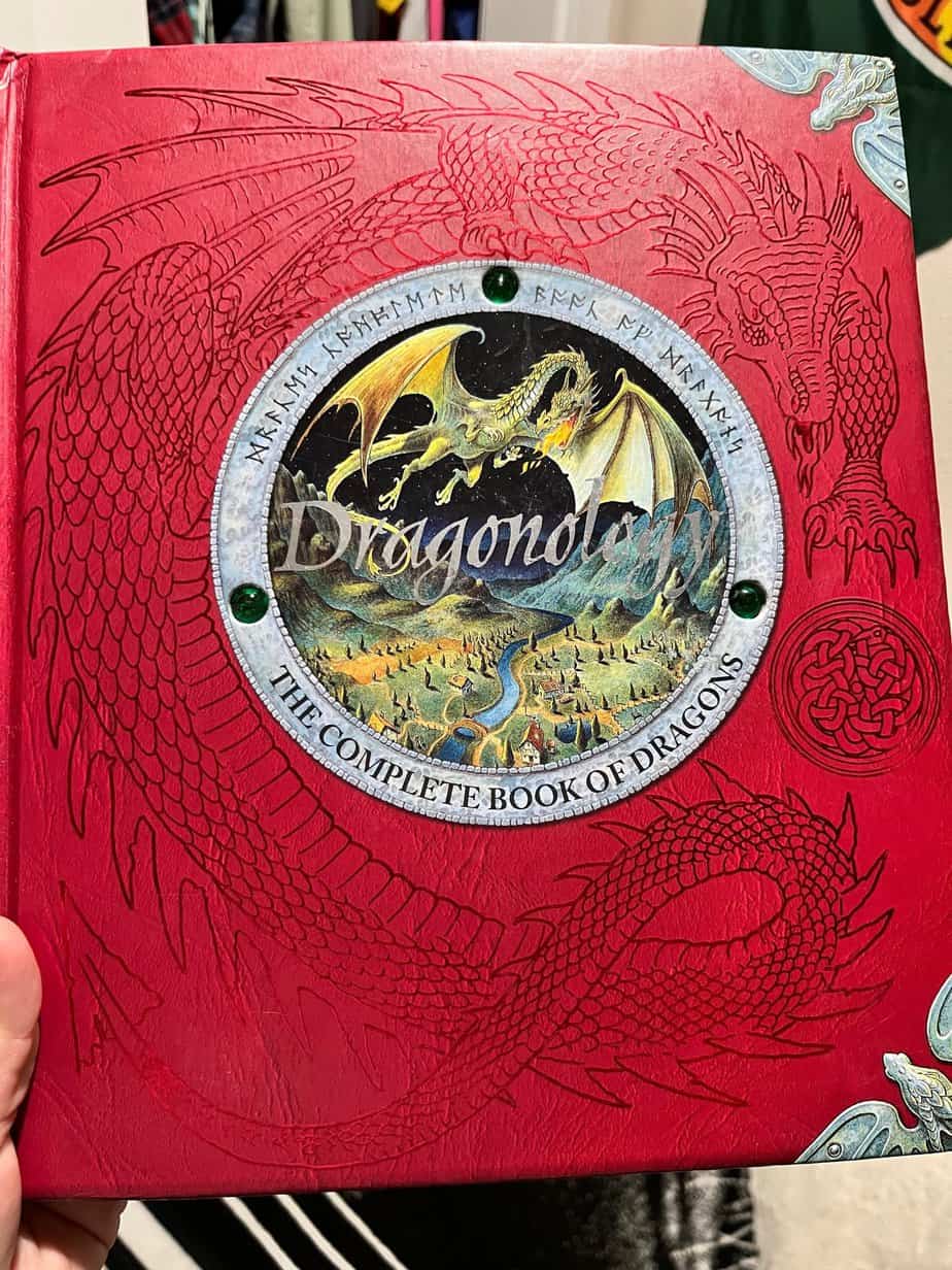 75+ Dragon Gifts for Her or Him: Unique Gift Guide - Dinkum Tribe