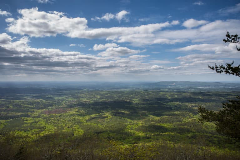 17 Best Hiking Trails Birmingham Alabama (2026) - Dinkum Tribe