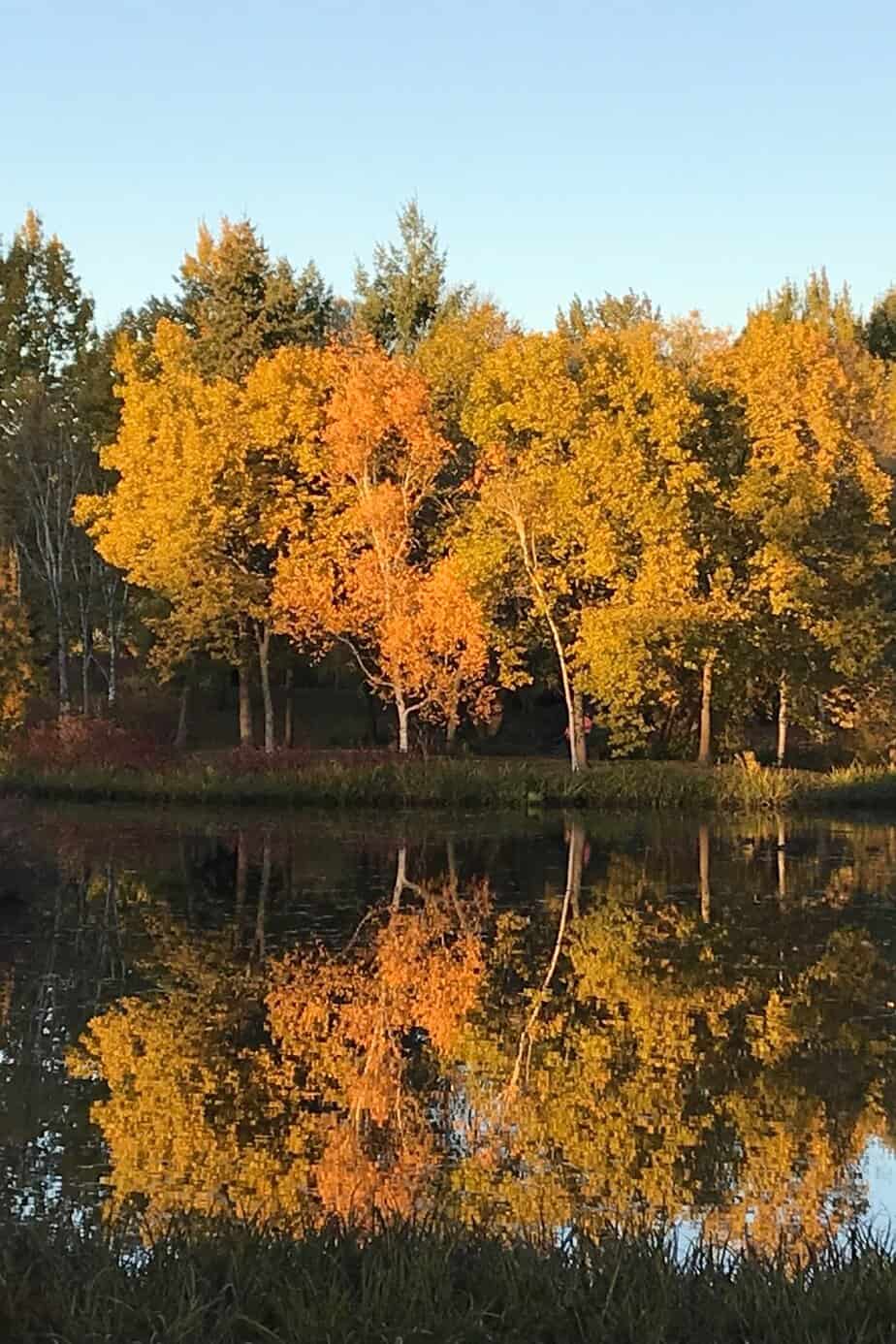 51+ Fun Fall Activities for Teens and Families (2026) - Dinkum Tribe