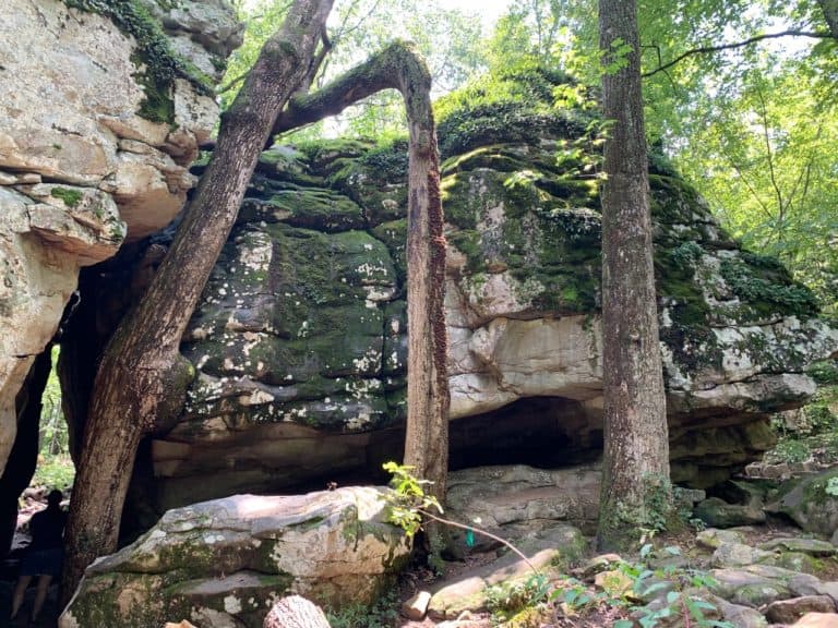 17 Best Hiking Trails Birmingham Alabama (2026) - Dinkum Tribe