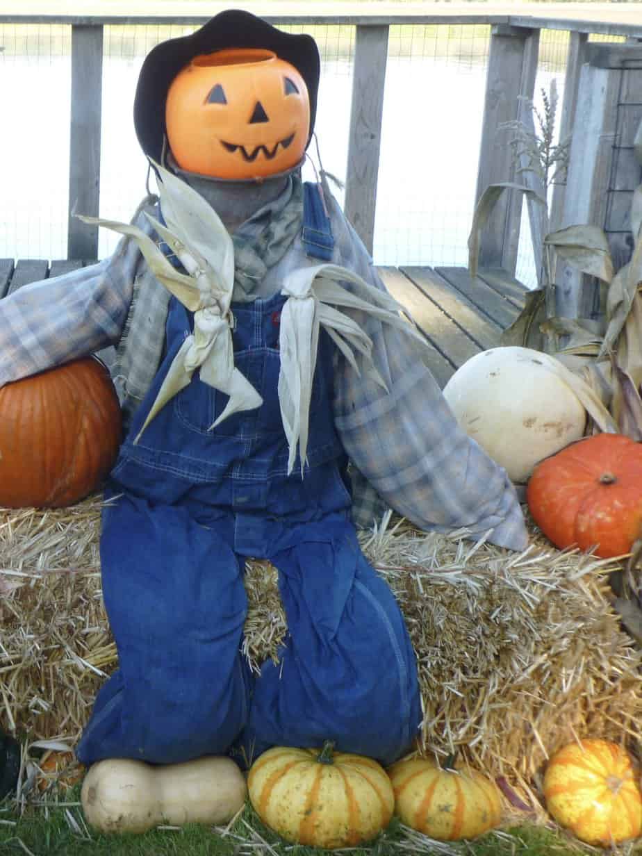 33+ Fun Fall Activities for Teens and Families - Dinkum Tribe