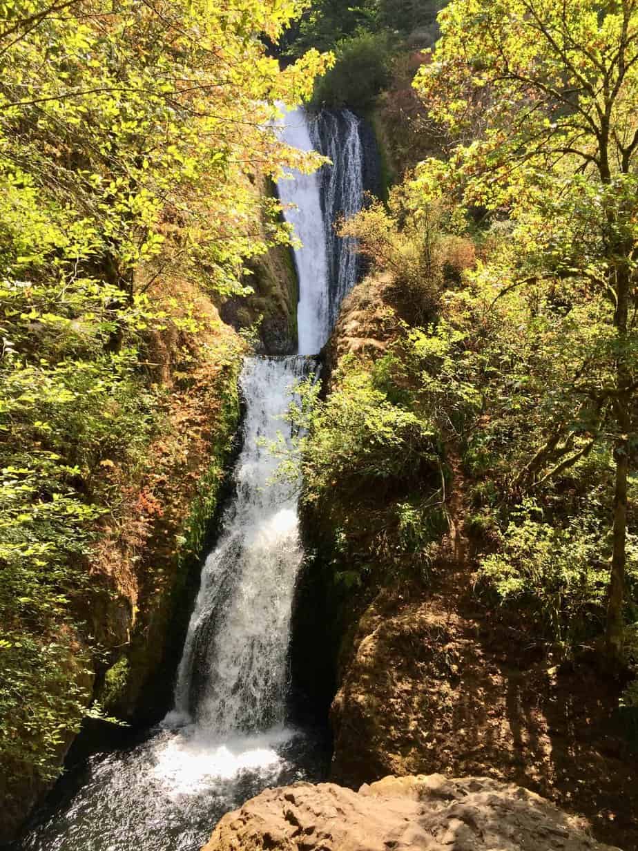 17 Best Portland Oregon Day Trips for Families - Dinkum Tribe