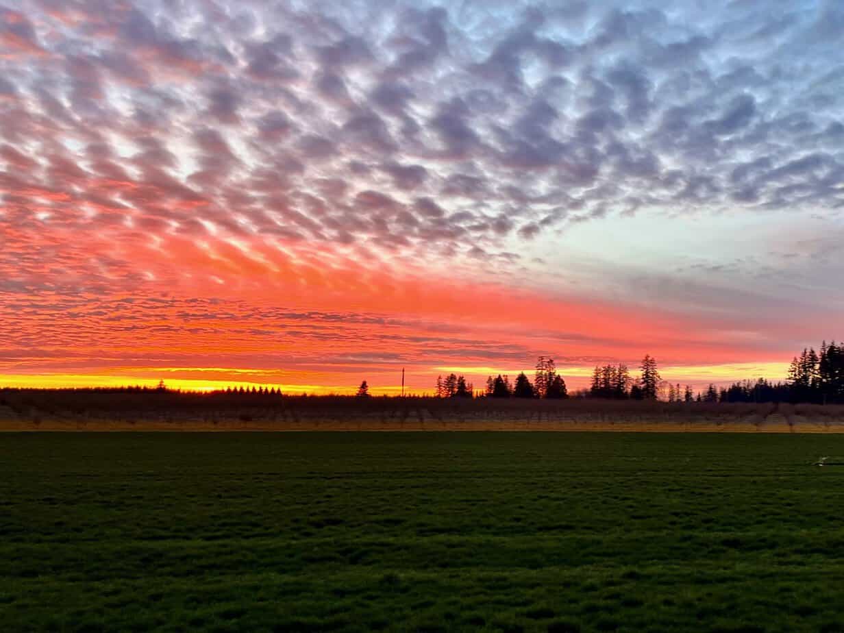 17 Best Portland Oregon Day Trips for Families - Dinkum Tribe