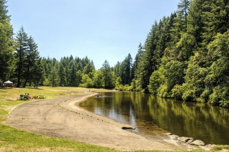Best things to do at Silver Falls State Park: Guide - Dinkum Tribe