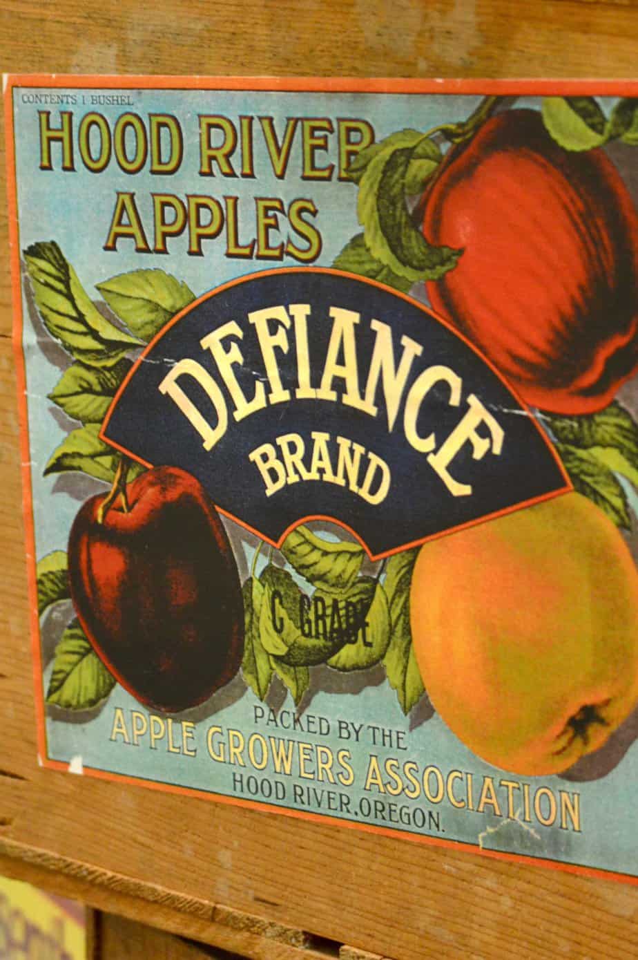 15 Best Portland Fall Festivals (Oregon) 2026 - Dinkum Tribe