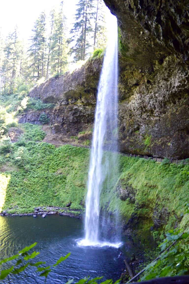 Best Kid-Friendly Activities in Silverton Oregon - Dinkum Tribe