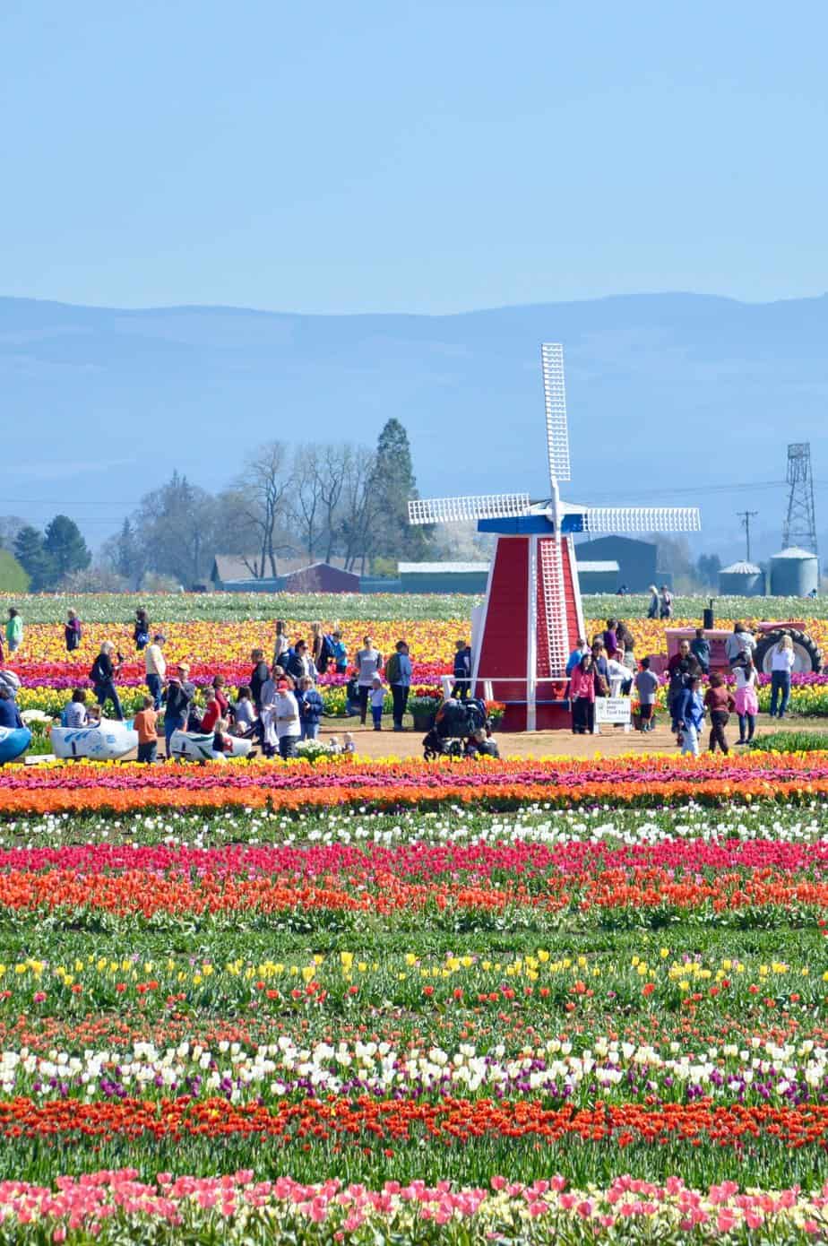 Best Oregon Flower Festivals and Gardens 2026 - Dinkum Tribe