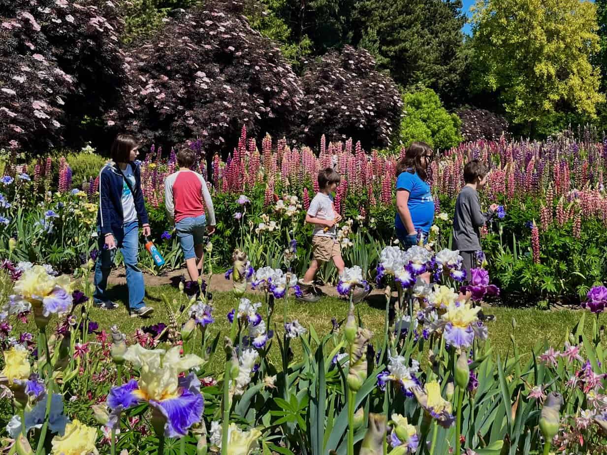 Best Oregon Flower Festivals and Gardens 2026 - Dinkum Tribe