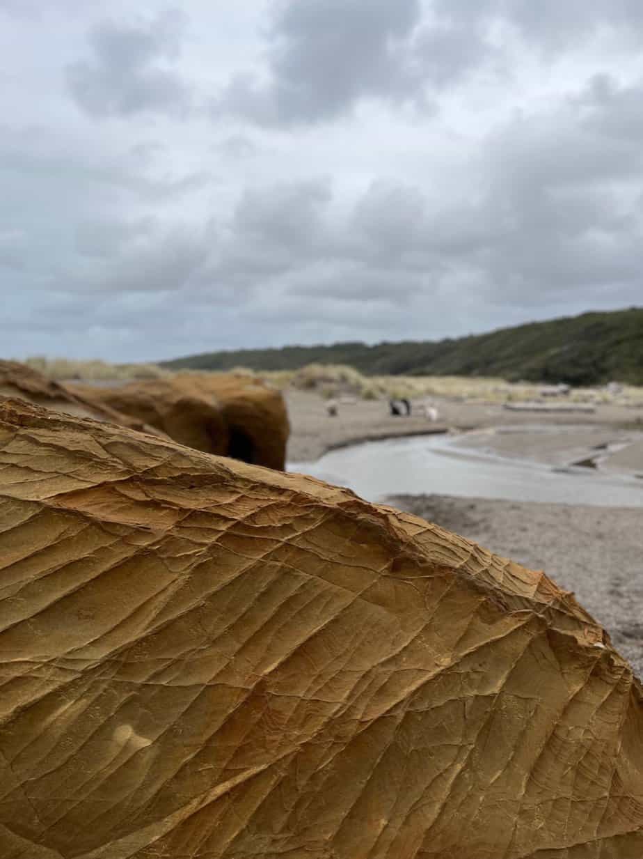 What To Do in Port Orford Oregon: 25 Best Ideas - Dinkum Tribe