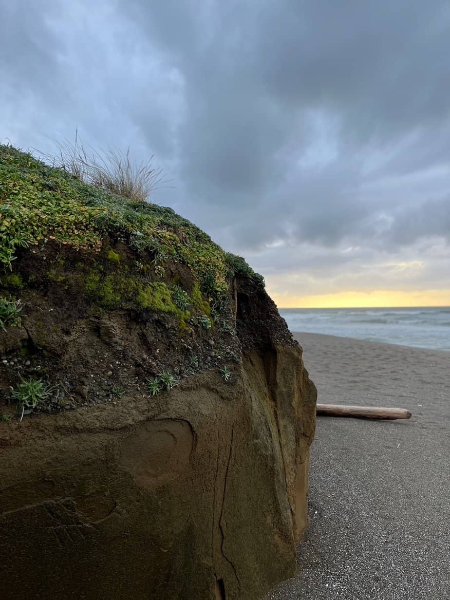 What To Do in Port Orford Oregon: 25 Best Ideas - Dinkum Tribe