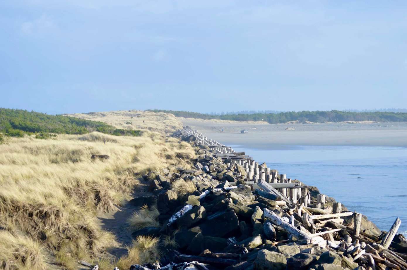 21 Best Beaches in Northern Oregon - Dinkum Tribe