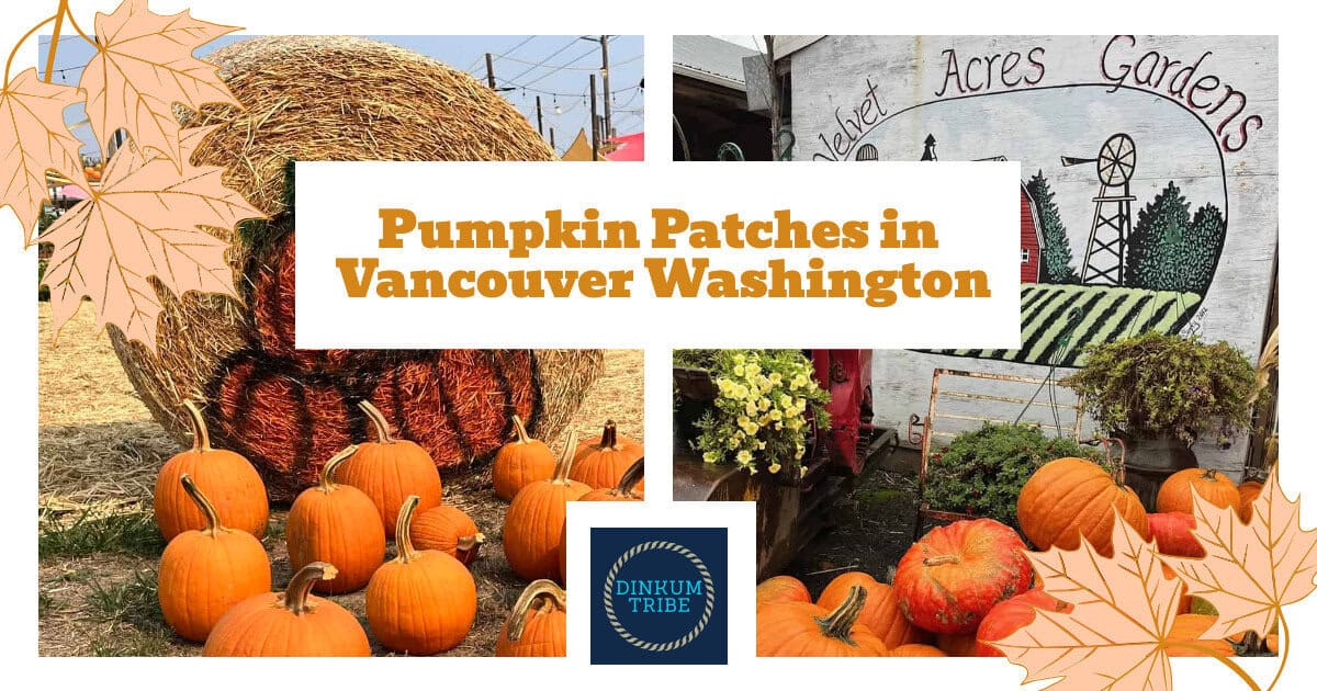 10 Awesome Pumpkin Patches in Vancouver (WA) - Dinkum Tribe