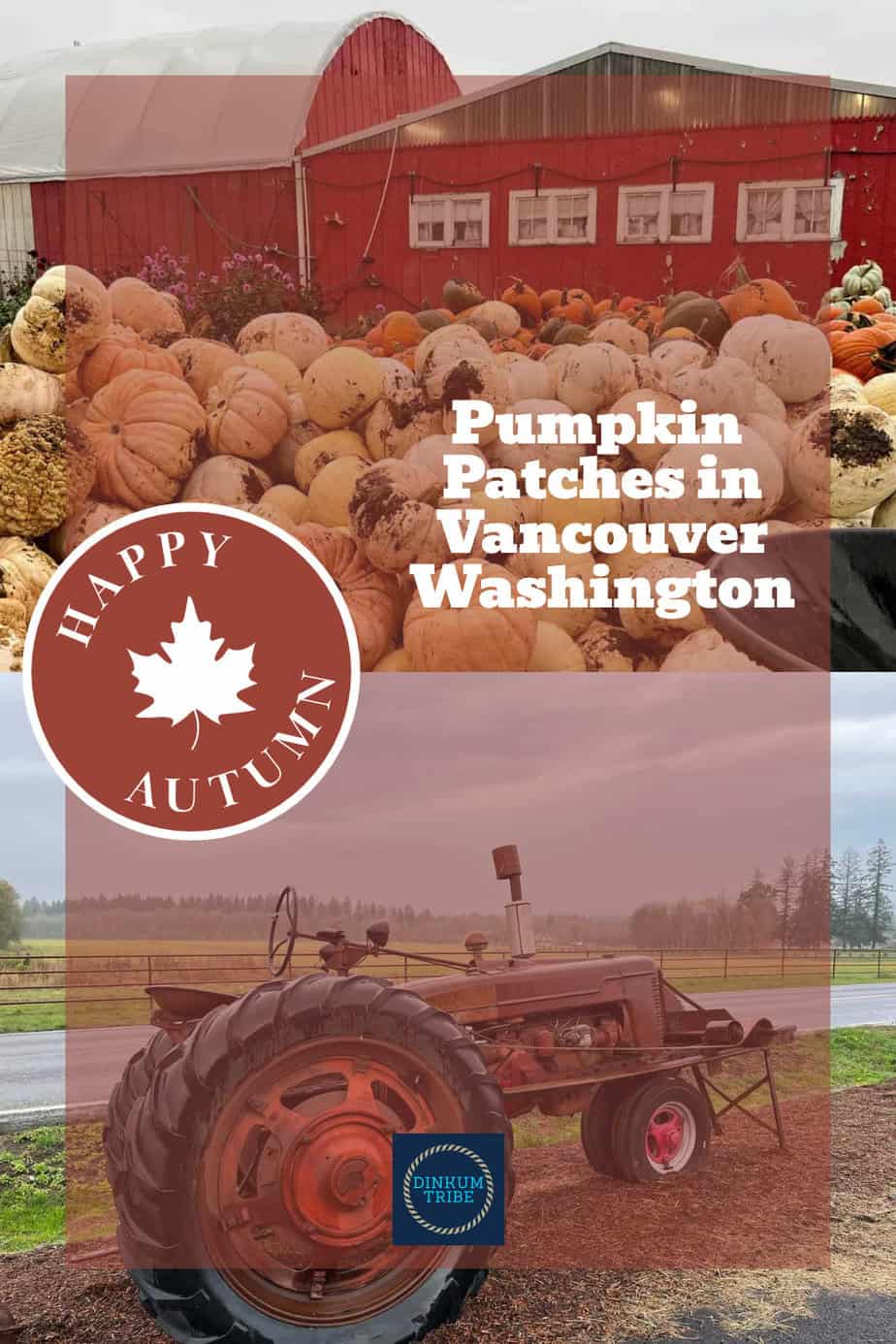 10 Awesome Pumpkin Patches in Vancouver (WA) - Dinkum Tribe