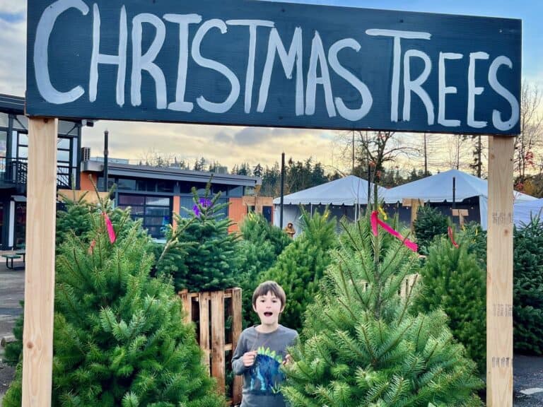 15+ Top Christmas Tree Farms in Salem Oregon - Dinkum Tribe