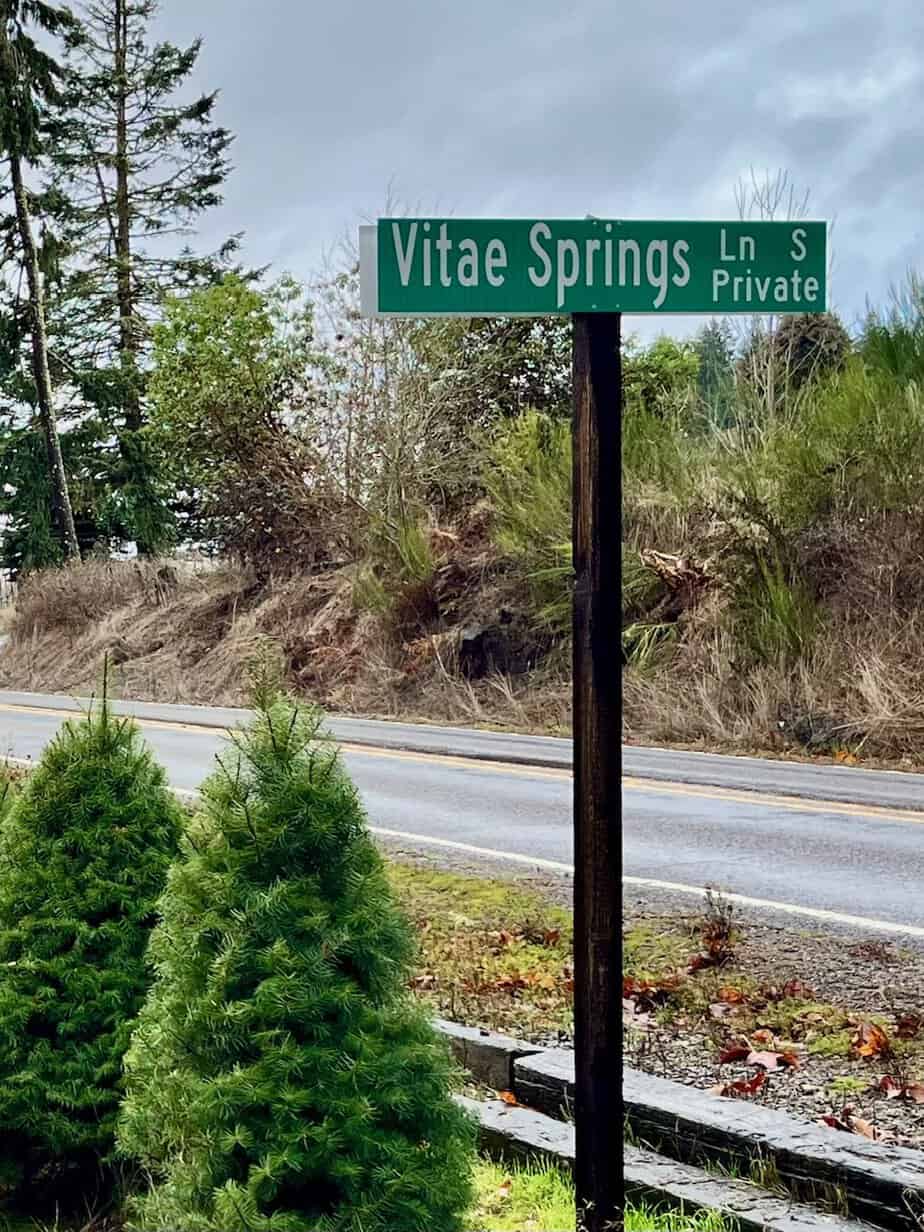 15+ Top Christmas Tree Farms in Salem Oregon - Dinkum Tribe