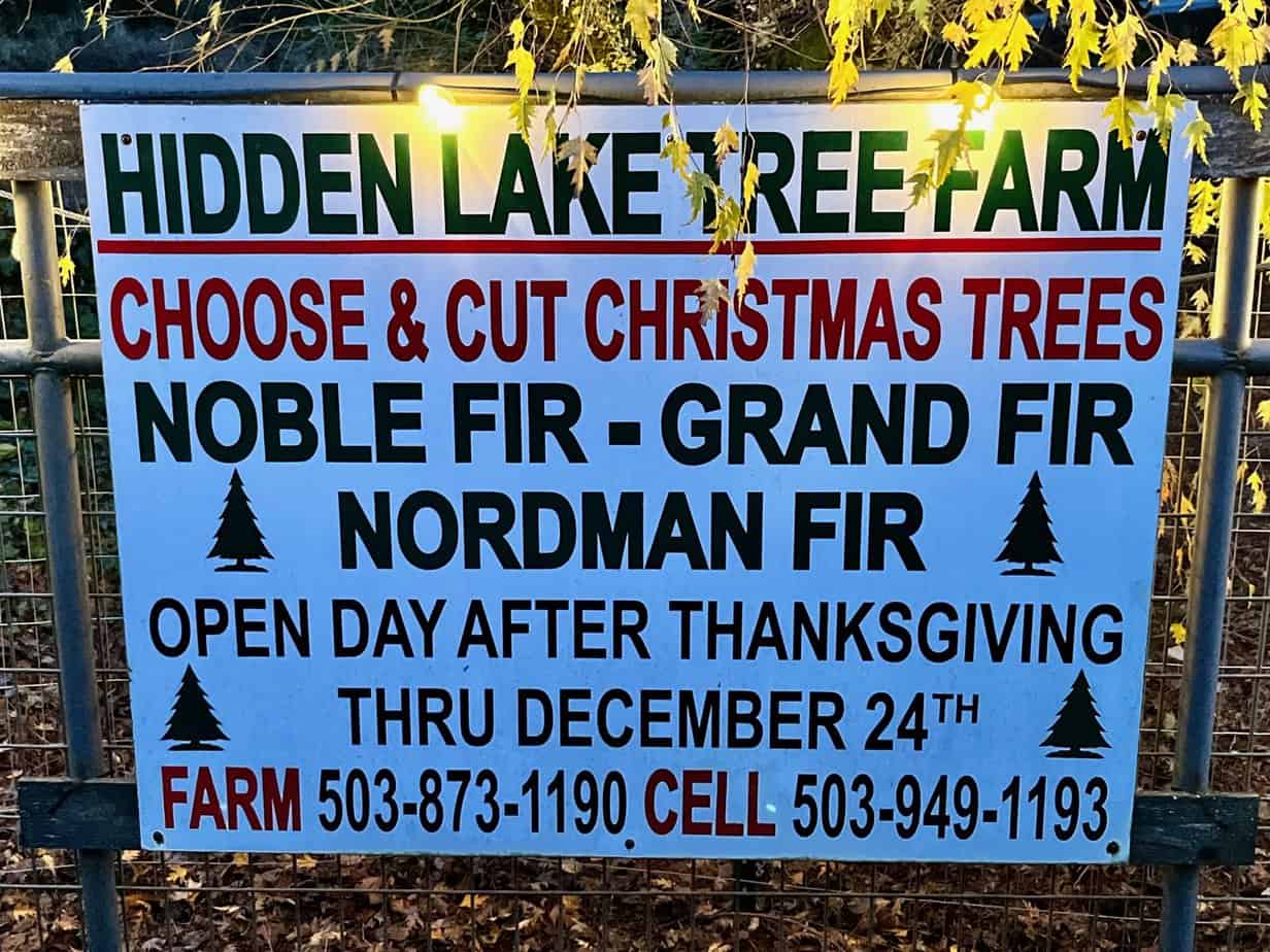 15+ Top Christmas Tree Farms in Salem Oregon - Dinkum Tribe