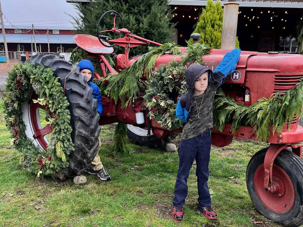 15+ Top Christmas Tree Farms in Salem Oregon - Dinkum Tribe