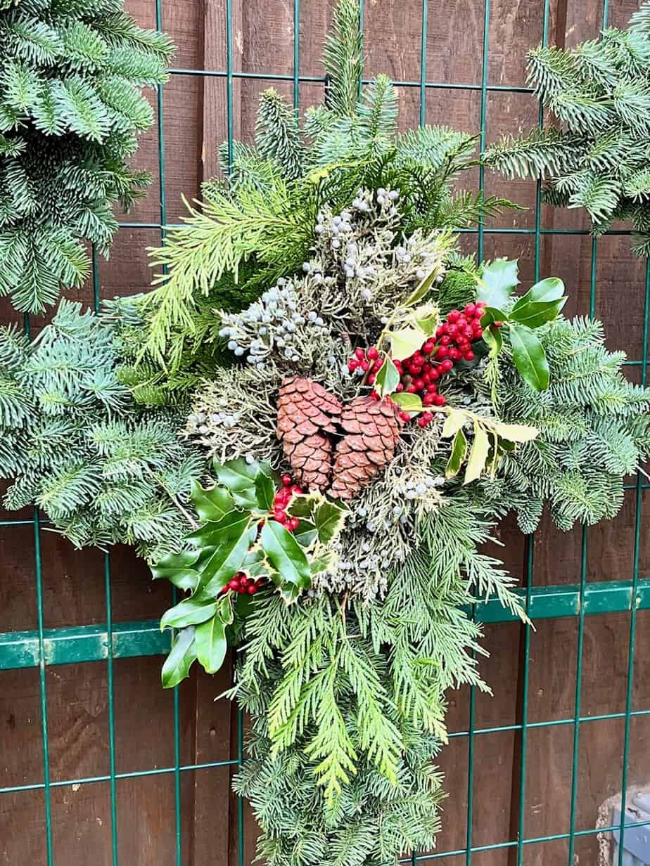 15+ Top Christmas Tree Farms in Salem Oregon - Dinkum Tribe