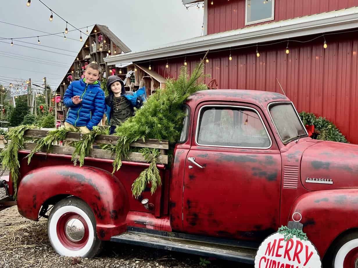 15+ Top Christmas Tree Farms in Salem Oregon - Dinkum Tribe