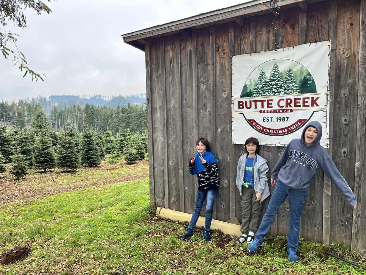 15+ Top Christmas Tree Farms in Salem Oregon - Dinkum Tribe