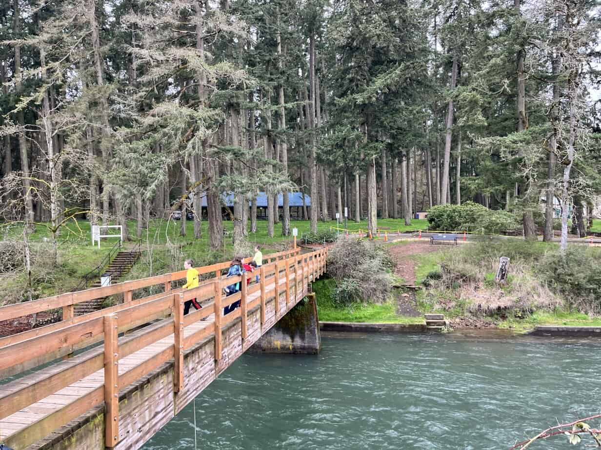 A Festive 1 Day Christmas Itinerary in Silverton, Oregon - Dinkum Tribe